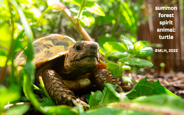 Poetry Friday: Wordy 30 Poems – A(nother) Year of Reading