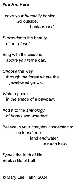 Prepositional Phrase Poem Examples