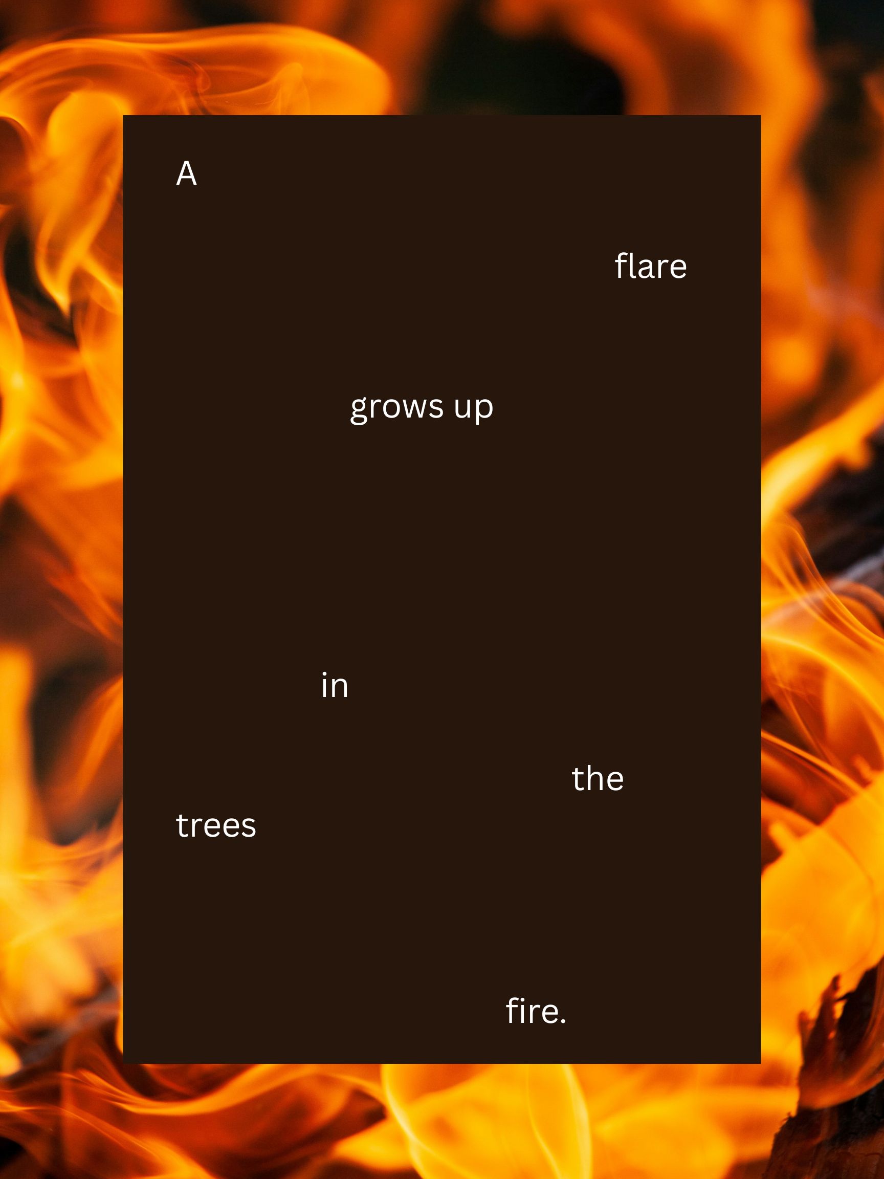 Poetry Friday: Burning Haibun – A(nother) Year of Reading