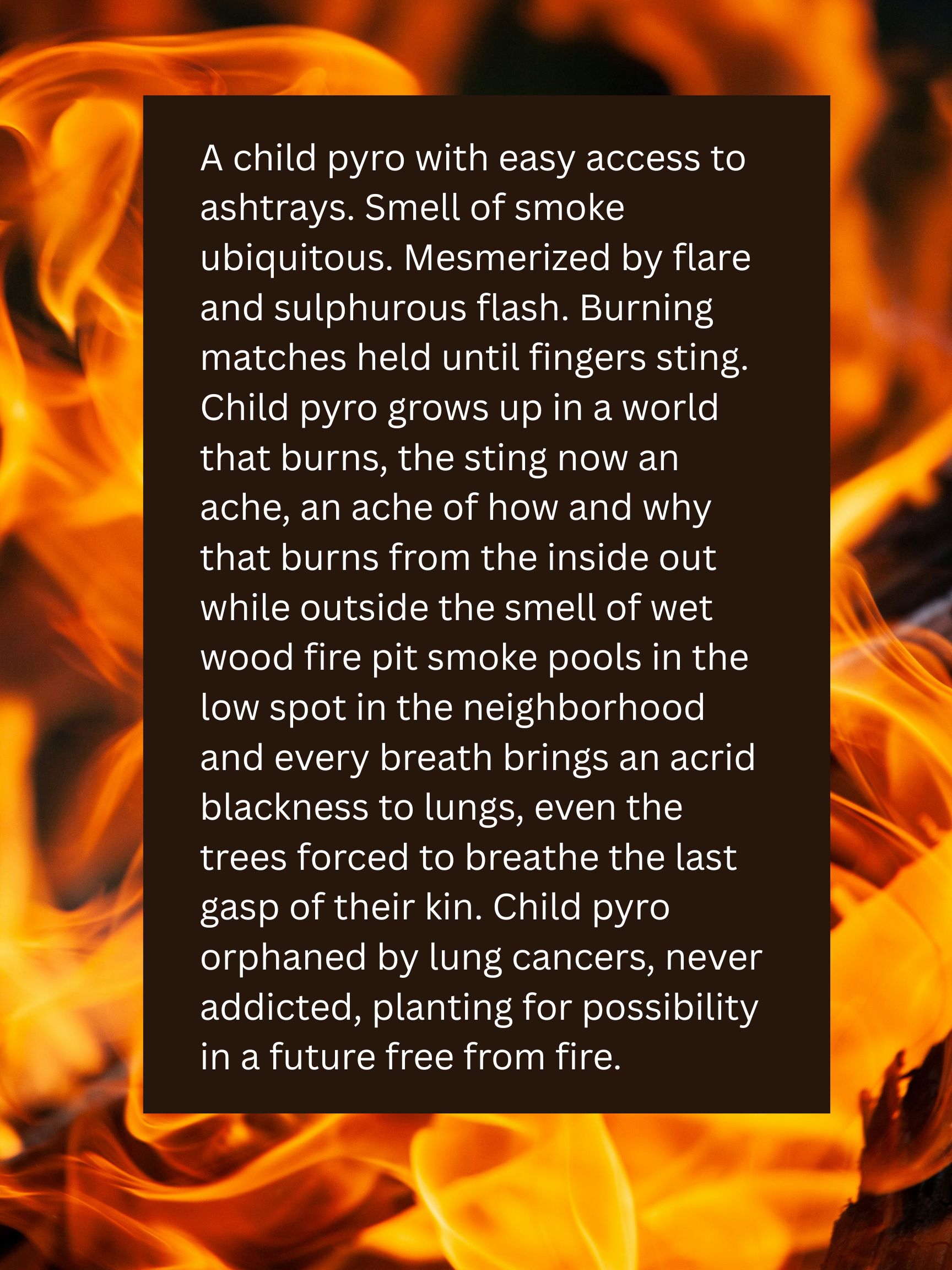 Poetry Friday: Burning Haibun – A(nother) Year of Reading